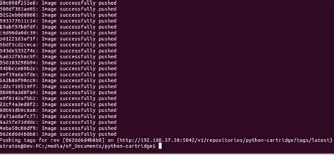 Open Source Probe Building Your Own Python Docker Cartridge For Apache