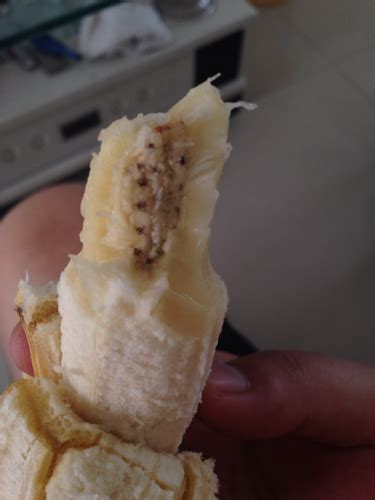 香蕉中间有黑籽图 香蕉 伤感说说吧