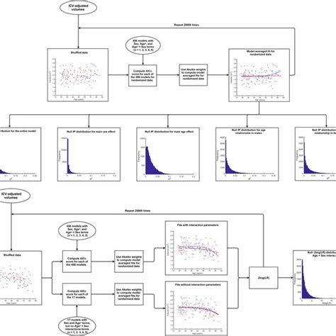 flow chart depicting permutation methodology used to build null