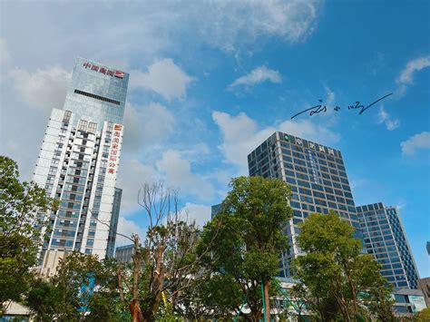 Cbd