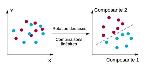 1 3 Analyse discriminante linéaire Science des données biologiques III