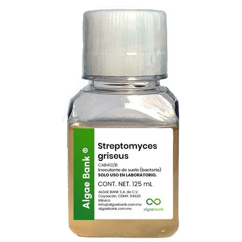 Streptomyces Griseus Algae Bank Colección De Cultivos