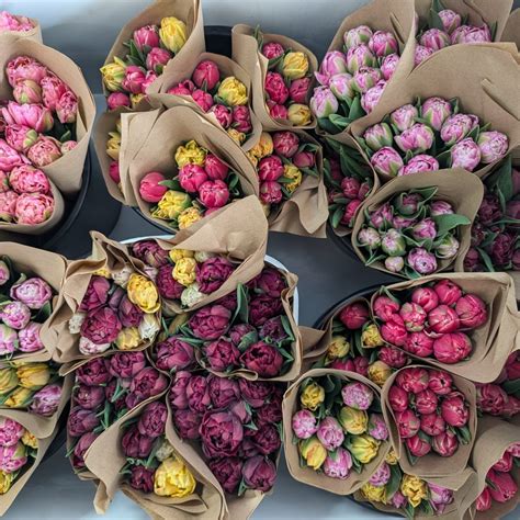 Three Acre Farm Three Acre Farm Added A New Photo Three Acre Farm Three Acre Farm Added A New Photo