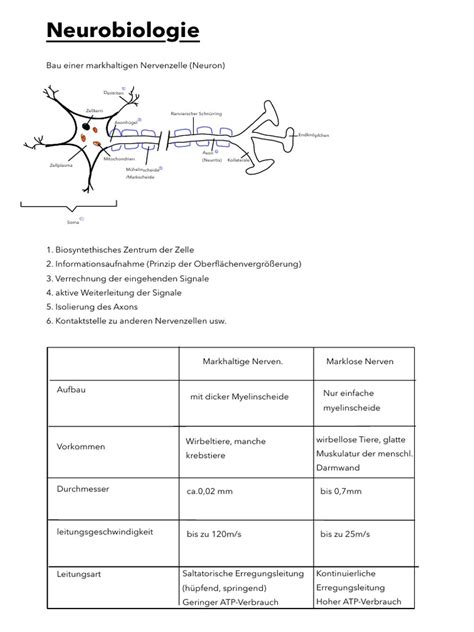 Neurobiologie Pdf