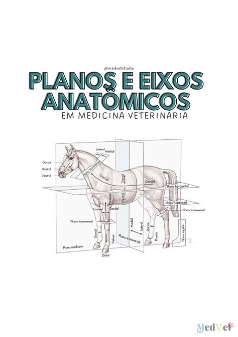 Planos E Eixos Animais Retoedu