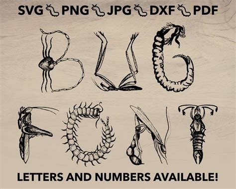 Bug Font Svg Insect Alphapack Bug Font For Cricut Svg Png  Otf