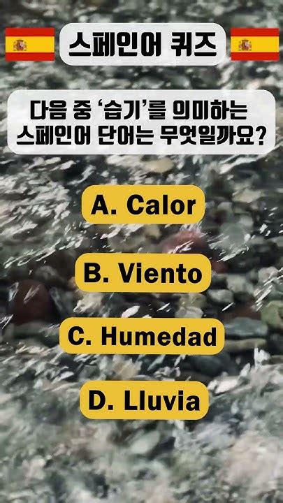 오늘 스페인어 퀴즈 시리즈 스페인어기초 스페인어회화 스페인어독학 스페인어노래 스페인어배우기 스페인어숫자 스페인어알파벳 스페인어단어 스페인어공부 스페인어