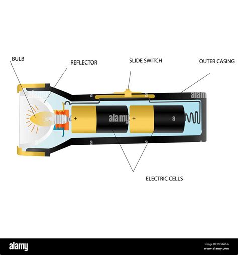 Shedding Light A Visual Guide To How Flashlights Work