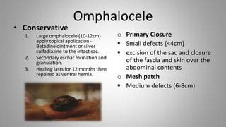 Omphalocele Vs Gastroschisispdf