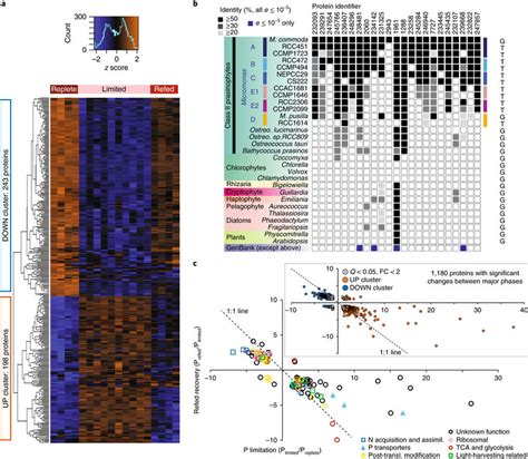 Proteomic Changes Under Acclimated P Limited Growth A Hierarchical Download Scientific Diagram