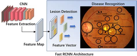 A Diagram Illustrating A Fast R Cnn Algorithm For Automatic Lesion