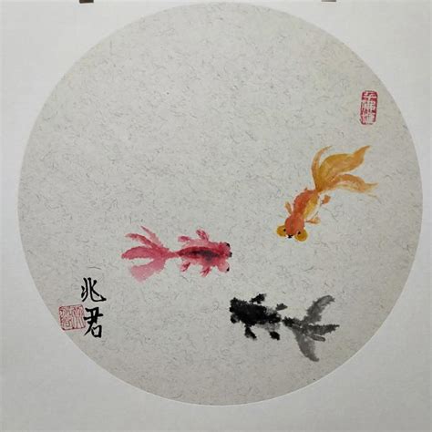 金魚 賈兆君 千佛崖居士 每日頭條