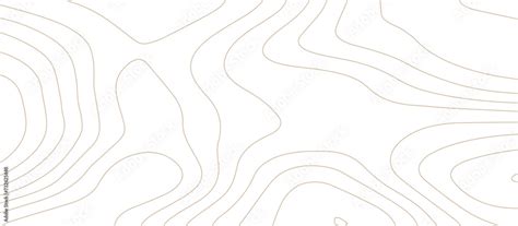 Abstract Topographic Contour Map Subtle White Vector Background Blank Detailed Topographic