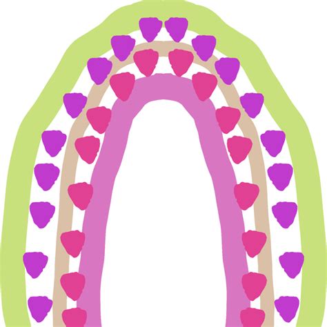 Element Rainbow Design 9266342 Png