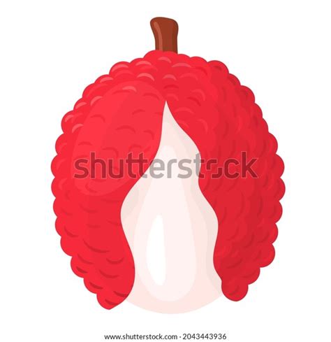 Fresh Whole Lychee Fruit Chopped Fruit Stock Vector Royalty Free