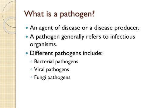 Ppt Alpha Proteobacteria Powerpoint Presentation Free Download Id 363410