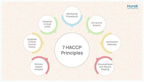 The 7 Principles Of Haccp Virtual College