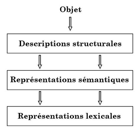 Représentation Schématique Des étapes De Traitement Nécessaires Pour
