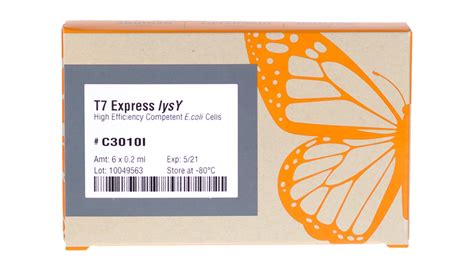 New England Biolabs Uk Ltd T7 Express Lysy Competent E Coli High