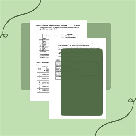Grade 6 Natural Sciences And Technology Practical Assessment • Teacha
