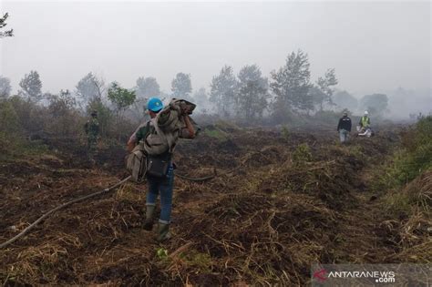 Riau Task Force Deploys Four Helicopters To Extinguish Forest Fires