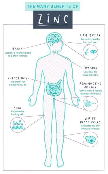 10 Ways Zinc Benefits Your Health Pure Synergy