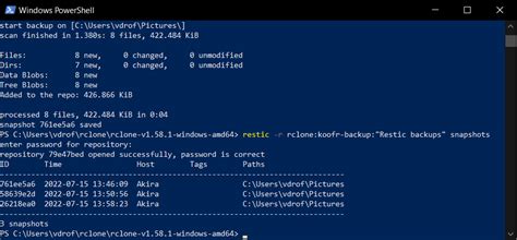 Backup Your Files To Koofr Using Restic Koofr Blog