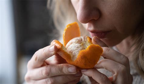 Anosmia que es Guía sobre cómo funciona el olfato su pérdida y