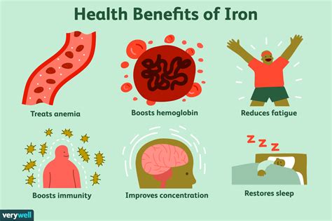Iron Benefits Side Effects Dosage And Interactions