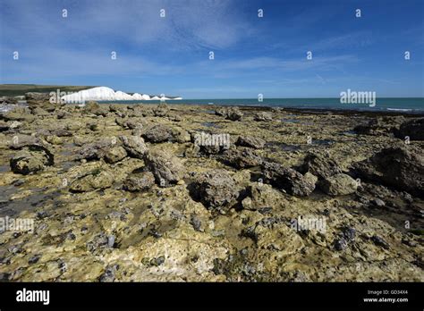 The Iconic View Of The English Coast Seven Sisters Chalk Cliffs East