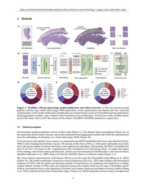 fully transformer based biomarker prediction from colorectal cancer