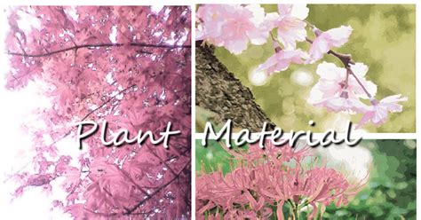 素材 【素材】植物【写真と加工】 ときやのマンガ 使ってもいいのよ むしろ使ってください フリー素材 Pixiv