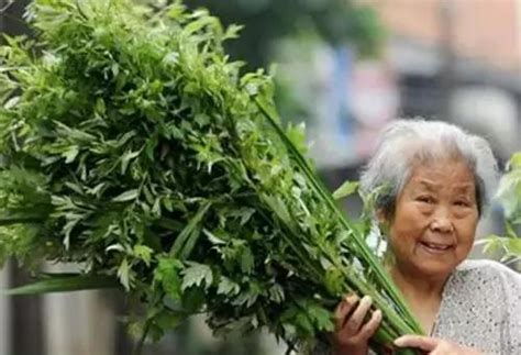 夏季艾葉泡腳加一物，祛濕毒、防病，可惜知道人太少！經典 每日頭條