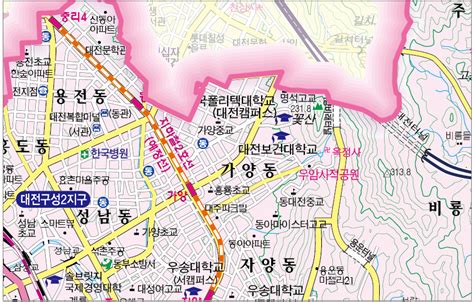 대전광역시 동구 관내도 경계지도 코팅지도 코팅형 대별동 낭월지구 남대전종합물류단지 중부고속국도 가양동 대전구성2지구 성남동