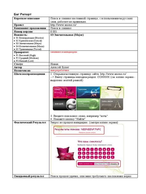 Bugreport Example Pdf