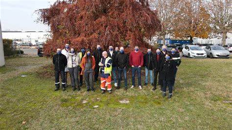 Montaberts Movember Supporting Mens Health