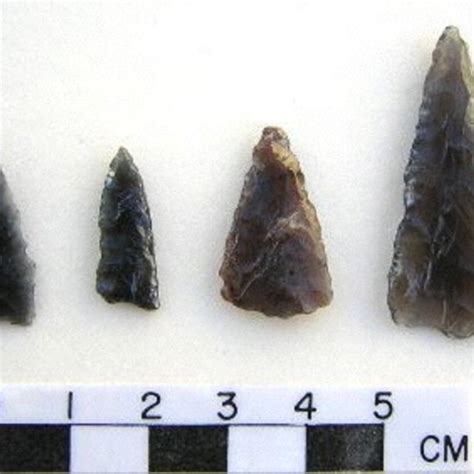 1 Desert Side Notched Projectile Points From Left To Right Desert Download Scientific