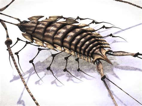 Deino