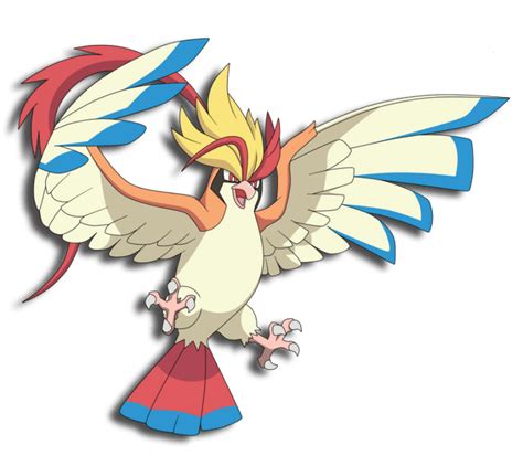 Pidgeot Vpokedex