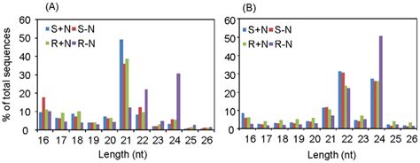 Size Distribution Of Redundant A And Unique B Small Rna Sequences