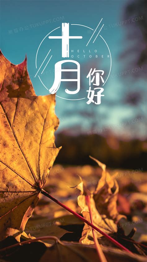 你好十月手机海报配图设计图片下载psd格式素材熊猫办公