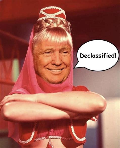 I Dream Of Lunacy [nsfw] R Politicalhumor