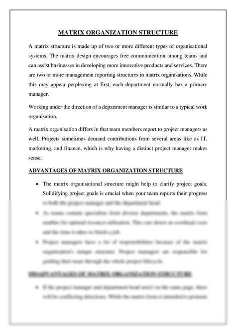SOLUTION Matrix Organization Structure Studypool