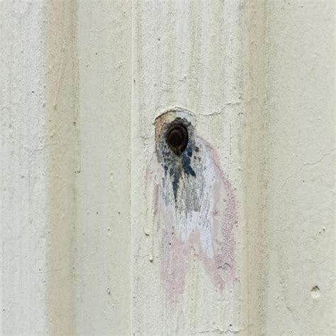 Total Bleeding Steel Instance Segmentation Dataset By Jiyun