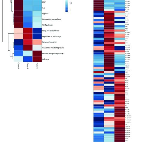 Heatmap Of Patients Classified In Clusters And According To Metabolic