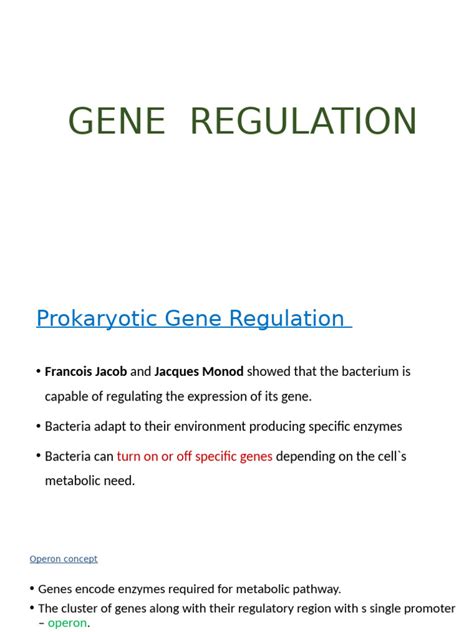 Gene Regulation Pdf Operon Repressor