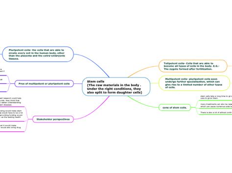 Stem Cells The Raw Materials In The Body Mind Map