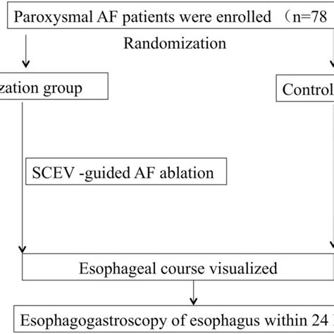 Esophageal Injuries Shown By Esophagogastroscopy A Esophageal