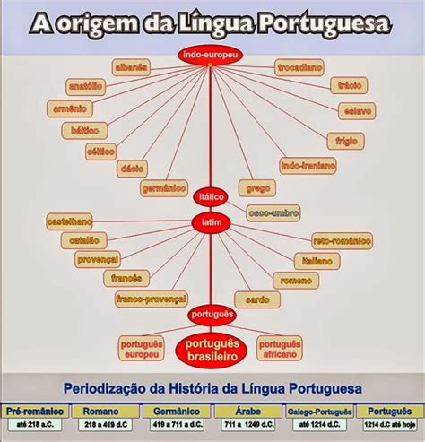 Ficha De Trabalho Evolução Do Português 1 Bem Explicado