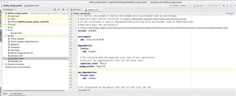 Chapter Flutter Image Picker